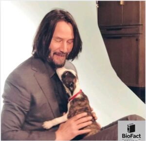 Keanu Reeves Biography, Age, Net Worth, Family, and Latest Movie (2025)