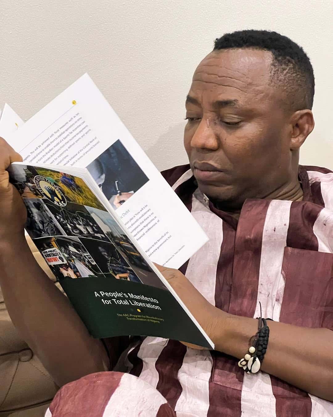 Omoyele Sowore Biography: Activism, Age, Children, Networth, Political Journey, Religion And ...